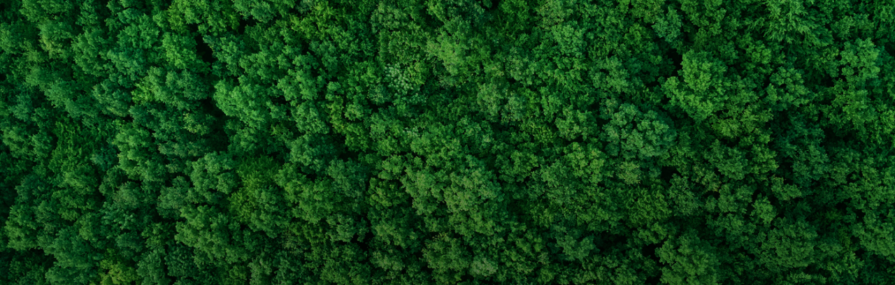 Environment & Sustainability - Advertising Council Australia